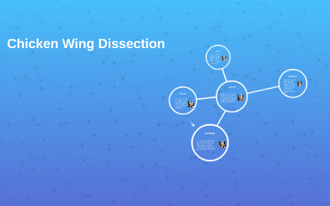 Chicken Wing Dissection by Jonathan Chan on Prezi