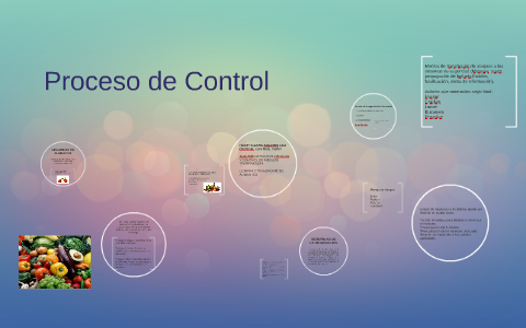 Proceso de Control by Nanis Carrasco on Prezi