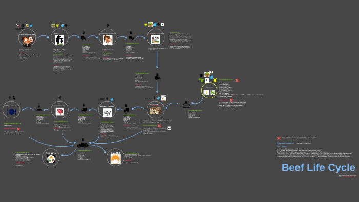 Beef Life Cycle by Farzaneh asghari on Prezi