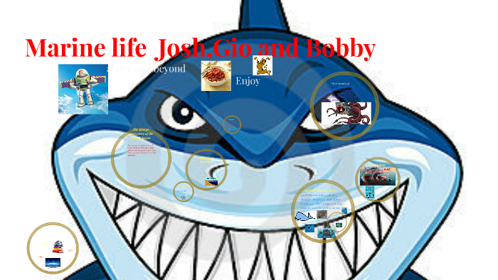 Marine life by Joshua Beaman on Prezi