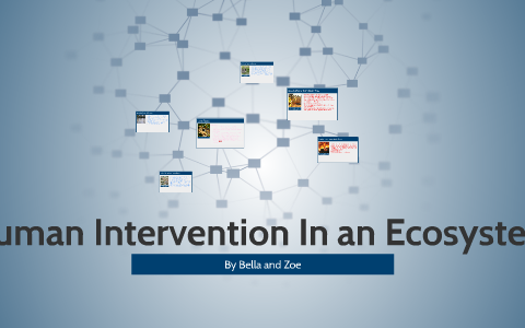 Human Intervention In an Ecosystem by Isabella Couper