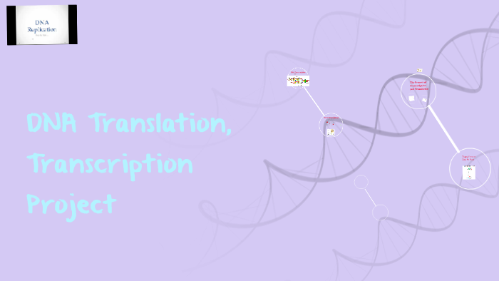 DNA Translation, Transcription Project by Morgan Jaquez on Prezi