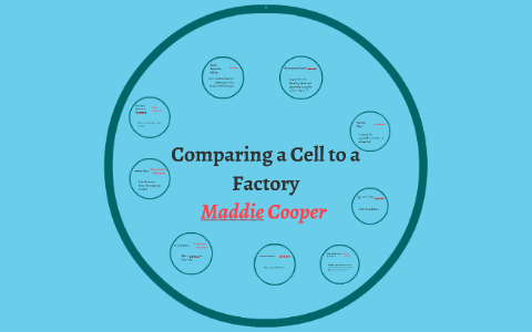 Comparing a Cell to a Factory by Maddie C on Prezi