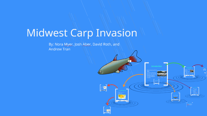 Midwest Carp Invasion by N. Myer on Prezi