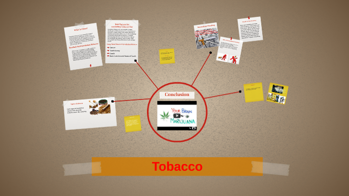 chewing tobacco, chew, chaw, dip, plug by Zebation Wright on Prezi