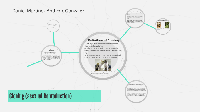 Cloning (asexual Reproduction) by Christie Williams on Prezi