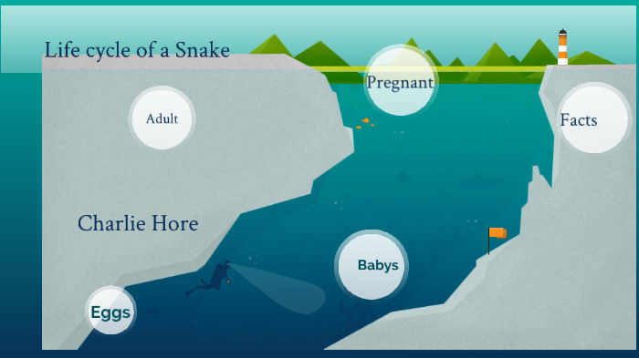 snakes by Charlie Hore on Prezi