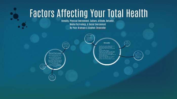 Factors Affecting Your Total Health by Stephen Ehrenzeller on Prezi