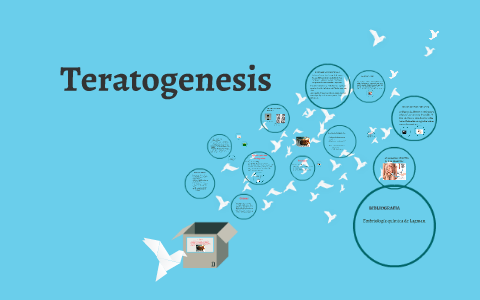 Teratogenesis by lorena rengifo on Prezi