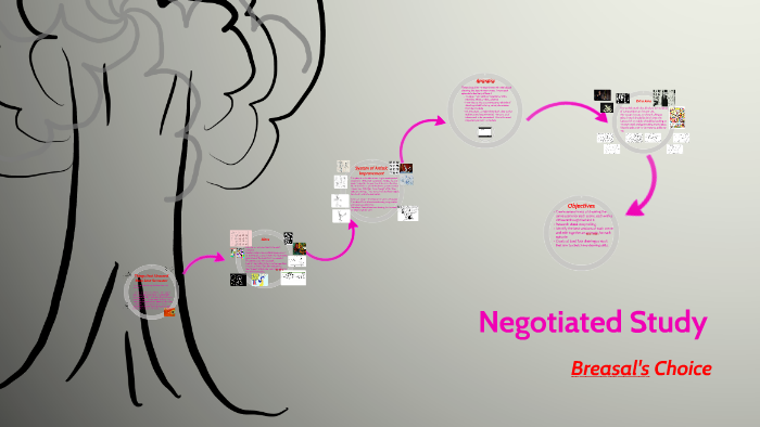 Negotiated Study by Madame Pika on Prezi