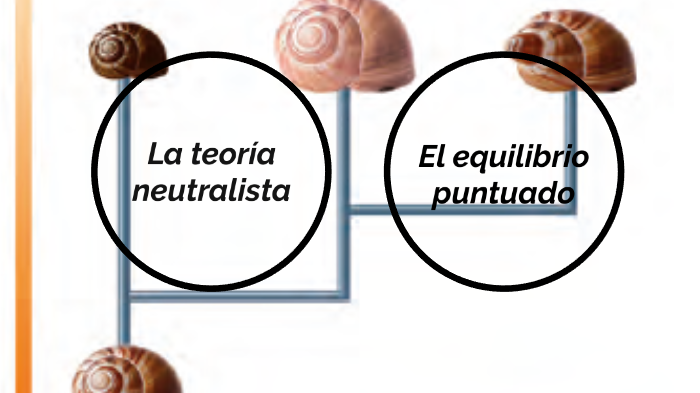 La teoría neutralista by aaron llerena on Prezi