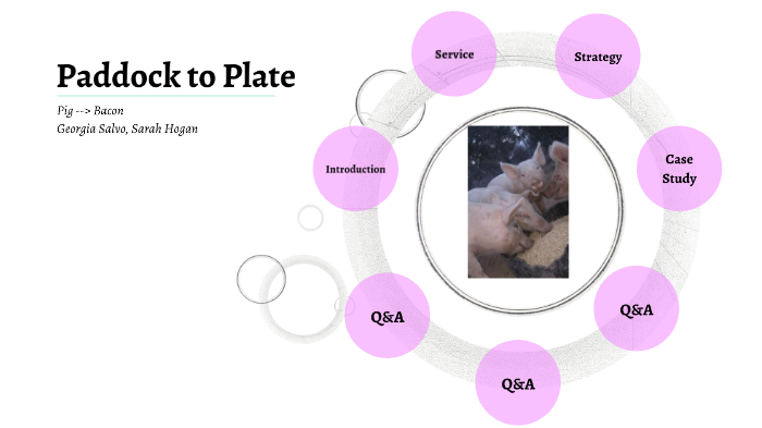 Paddock to Plate- Pig to Bacon by Sarah Hogan on Prezi
