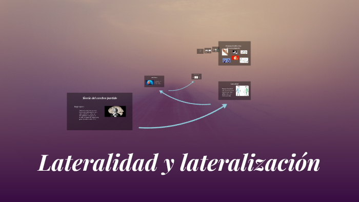 Lateralidad y lateralización by Luz Edith Mora Cardona on Prezi
