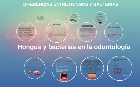 DIFERENCIAS ENTRE HONGOS Y BACTERIAS by trabajos odontologia on Prezi