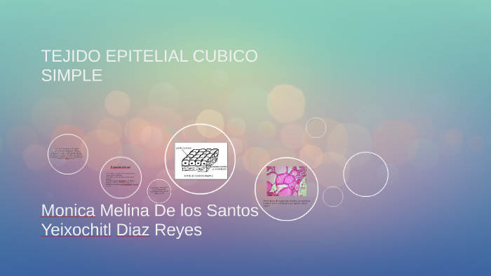 TEJIDO EPITELIAL CUBICO SIMPLE by yei diaz on Prezi