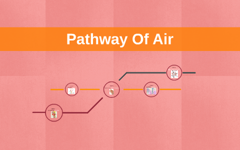 Pathway Of Air by Michelle Yusti on Prezi