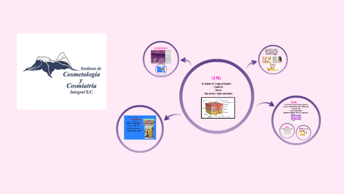 LA PIEL by gisela mayte osorio esquivel on Prezi