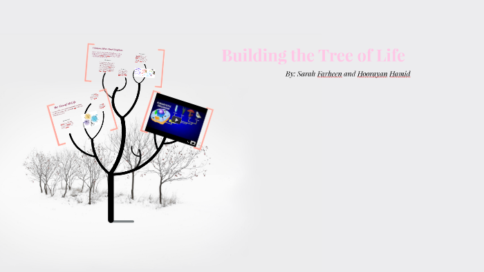 Building the Tree of Life by Sci Student on Prezi