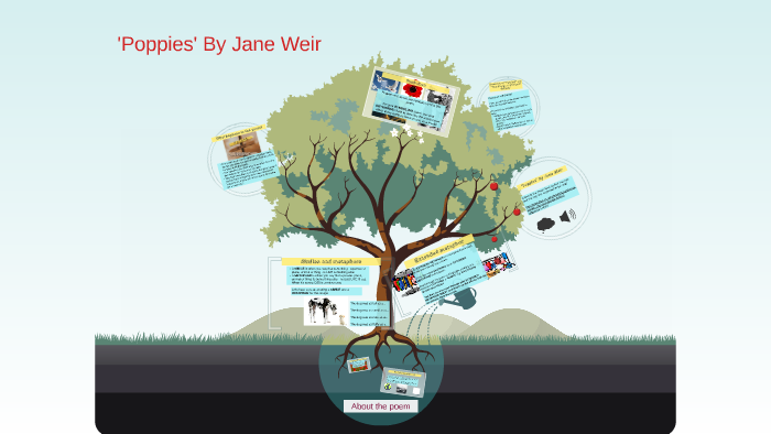'Poppies' By Jane Weir by Ms May on Prezi