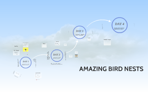 AMAZING BIRD NESTS by Lore Martinez on Prezi