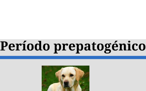 Período prepatogénico by Grisel Er on Prezi