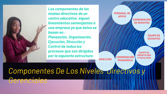 Componentes De Los Niveles Directivos Gerenciales By Arlin Altagracia