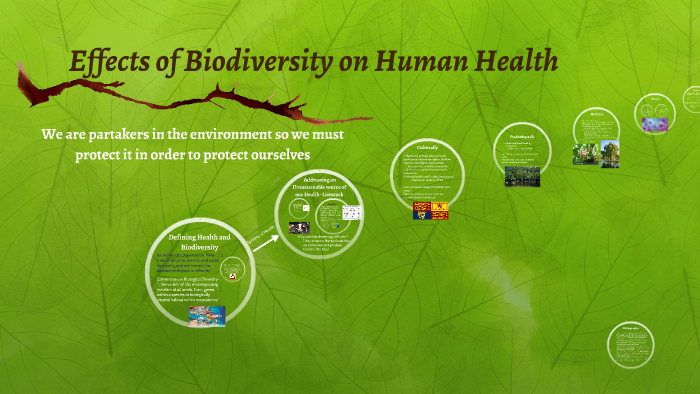 Effects of Biodiversity on Human Health by Rachel Lopez on Prezi