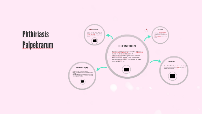 Phthiriasis Palpebrarum by Madelaine Castro on Prezi