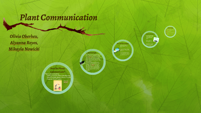 Plant Communication by Alyanna Reyes on Prezi