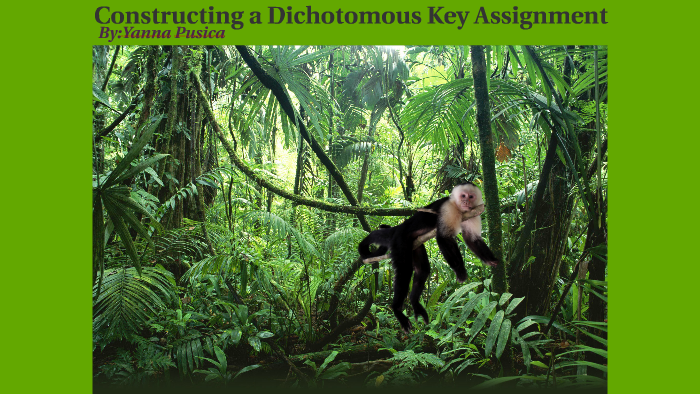 Constructing a Dichotomous Key Assignment by Yanna Pusica on Prezi