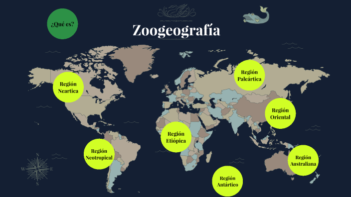 Zoogeografía by Marlene Olvera on Prezi