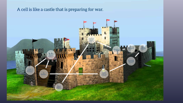 analogy of a cell to castle by Brooke Dageforde on Prezi