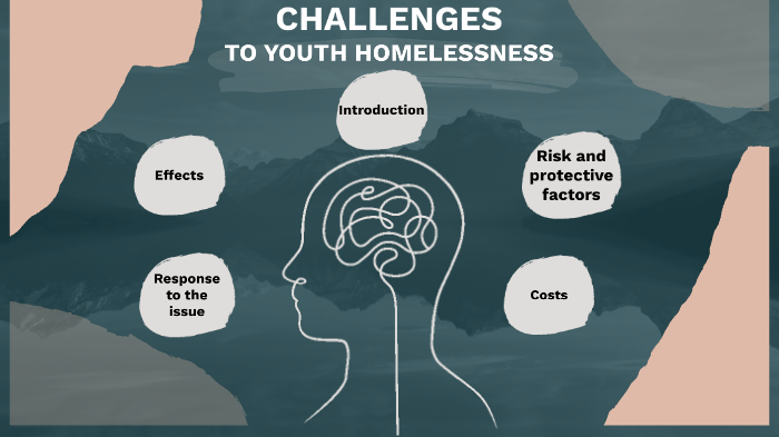 Challenges to Youth Homelessness by Hannah Weier on Prezi