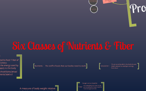 The 6 Classes of Nutrients by Presley Swensson on Prezi