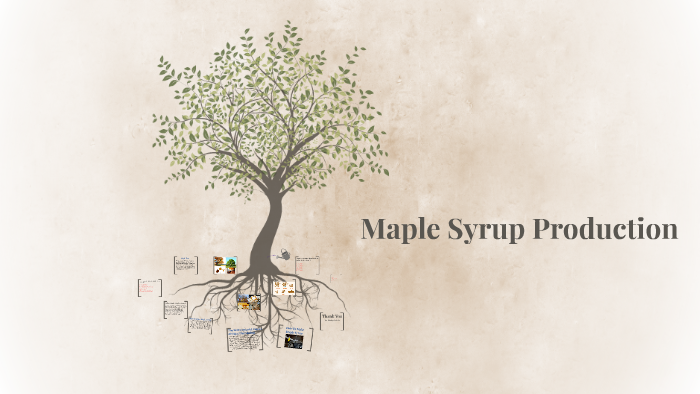 Maple Syrup Production by Hailey Eichhorn on Prezi