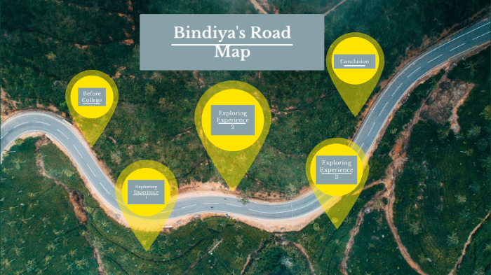 Road Map Presentation by on Prezi