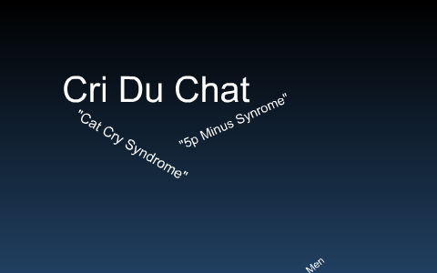 Cri Du Chat by caleb mackey