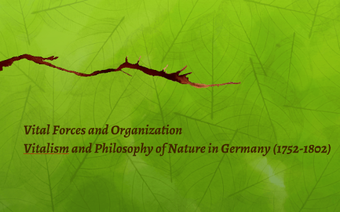 Vital Forces and Organization by Andrea Gambarotto on Prezi