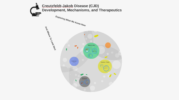 Creutzfeldt-Jakob Disease (CJD) Development, Mechanisms, and by Taylor ...