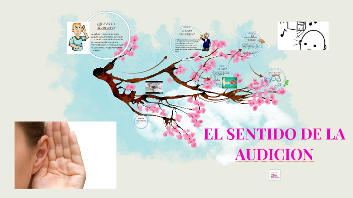 EL SENTIDO DE LA AUDICION by CRISTIAN DAVID CIFUENTES TINJACA on Prezi