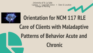 Orientation for NCM 117 RLE Exposure by Barbara Lim on Prezi Design