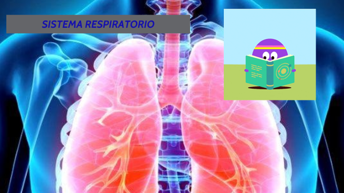 SISTEMA RESPIRATORIO by Milka Padilla on Prezi
