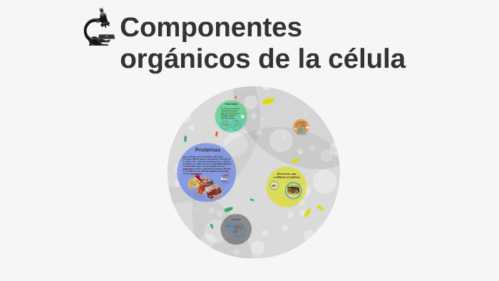 Componentes orgánicos de la célula by Leonel Yevara on Prezi