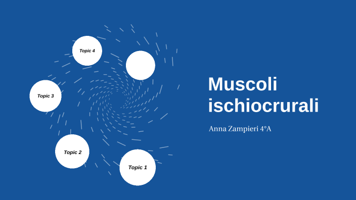 muscoli ischiocrurali by anna zampieri on Prezi