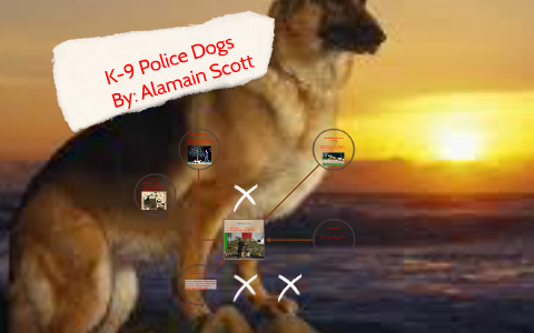 K-9 Police Dogs by alamain scott on Prezi
