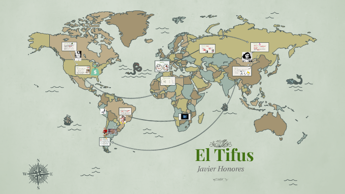 EL tifus by Javier Honores Nuñez on Prezi