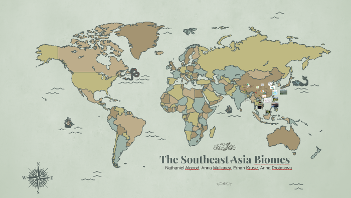 The Southeast Asia Biomes by Anna Mullaney on Prezi