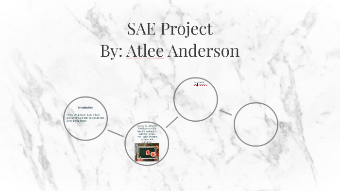 SAE project by Atlee Anderson on Prezi