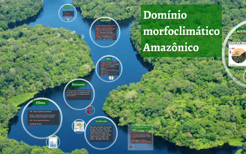 Bioma Amazônico by Giulia Trevisani on Prezi
