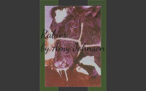 Rabies by Amy Johnson on Prezi